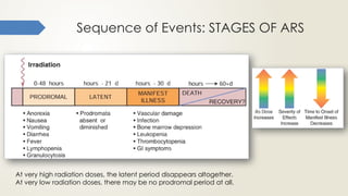 Acute Radiation Syndrome (Radiation Sickness)- Avinesh Shrestha | PPTX