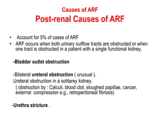 medicine.Acute renal failure.(dr.kawa) | PPTX