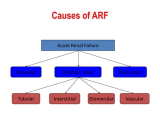 medicine.Acute renal failure.(dr.kawa) | PPTX