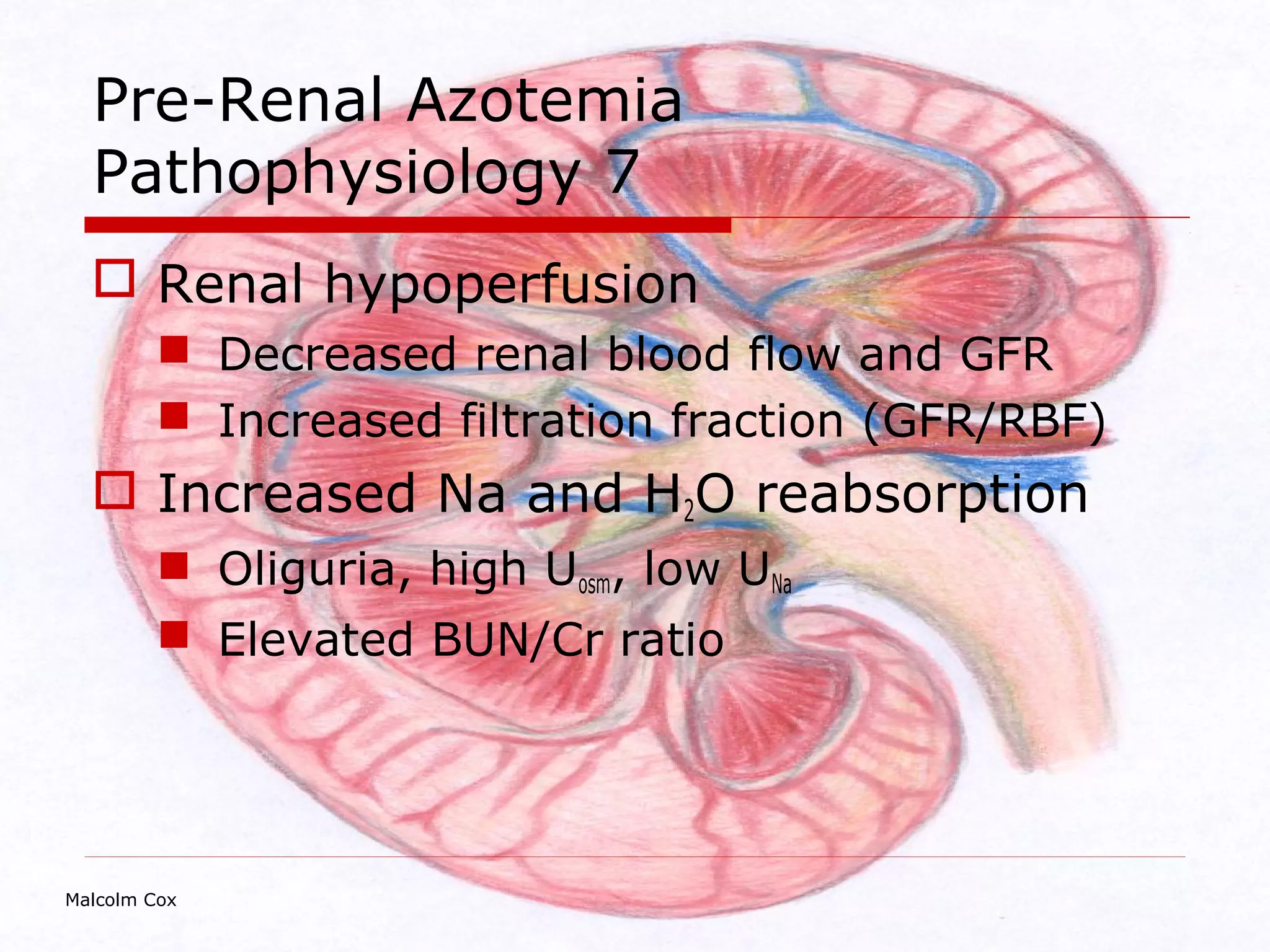 Acute renal failure | PPT