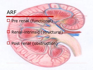 Acute renal failure | PPT