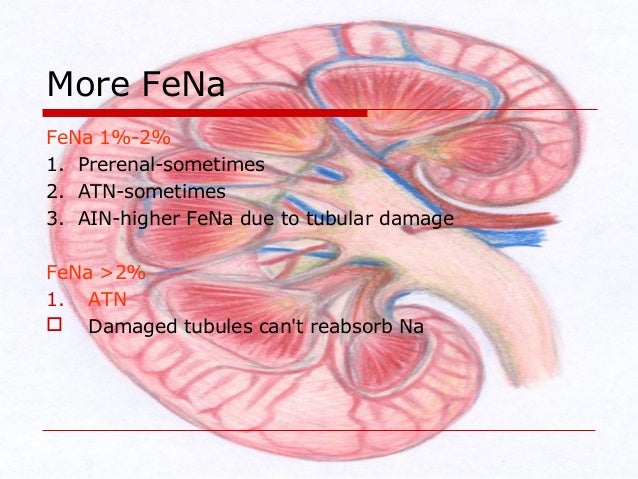 Acute renal failure