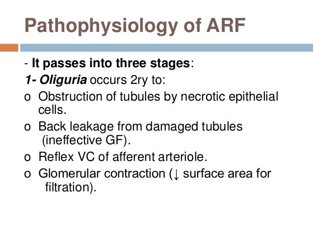 Acute renal failure