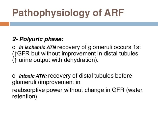 Acute renal failure