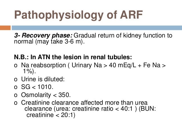 Acute renal failure