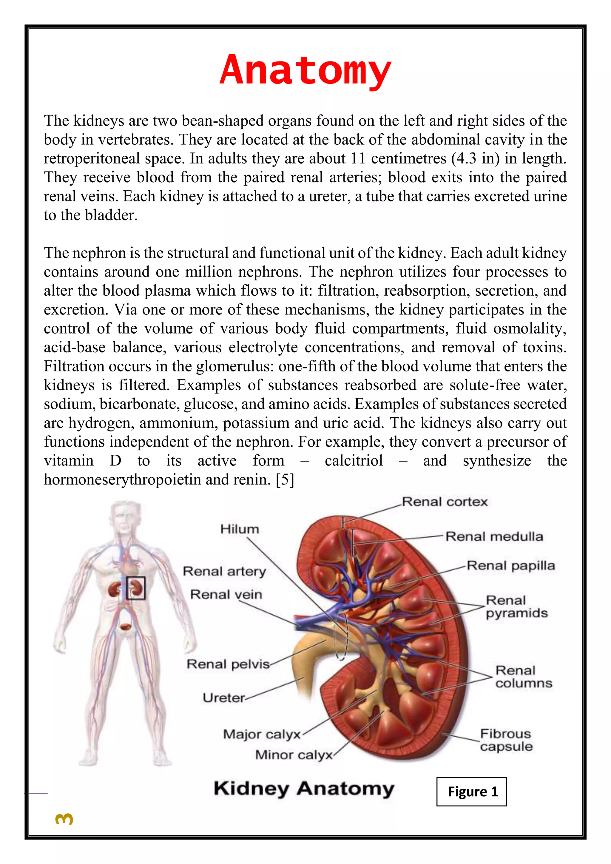 Acute renal failure 2018 | PDF