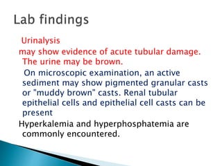 ACUTE RENAL FAILURE.ppt