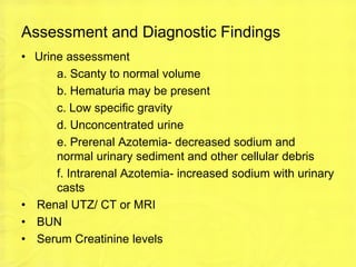 Acute renal failure.ppt