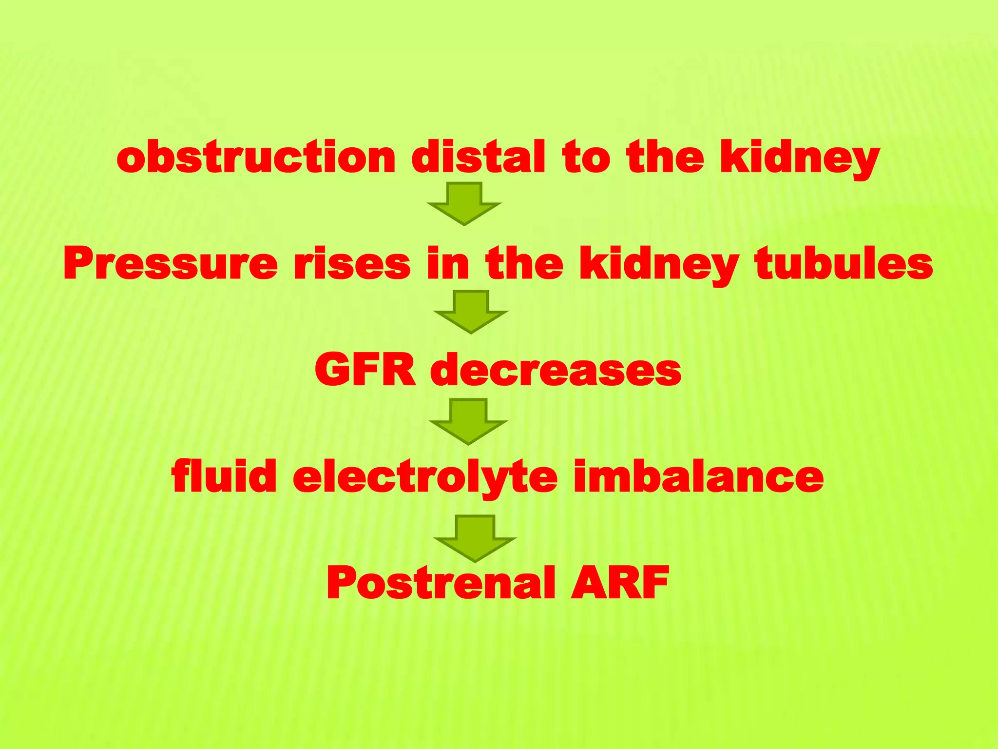 Acute renal failure.pptx