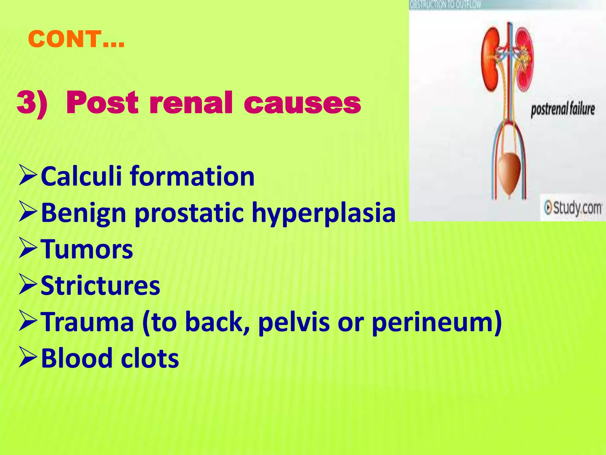 Acute renal failure.pptx
