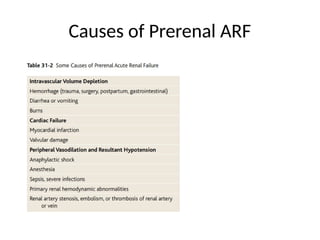 Acute Renal Failure( or Acute Kidney InjuryAKI) by doctor noor.pptx