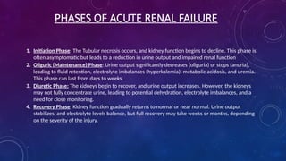 Acute Renal Failure . | PPTX