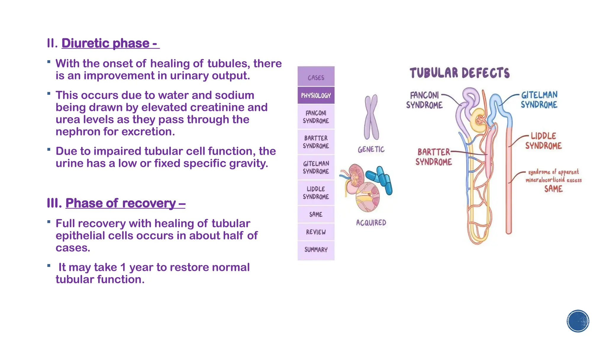 ACUTE RENAL FAILURE SYSTEMIC PATHOLOGY .pptx
