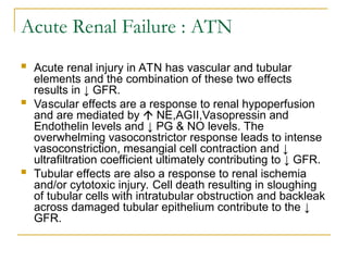 ACUTE RENAL FAILURE.ppthhjjkkkkkkllllkjj | PPT