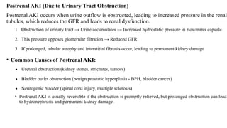 ACUTE RENAL FAILURE. Pharmacotherapeutics.pptx