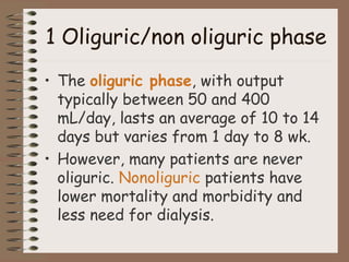 Acute Renal Failure 2.ppt