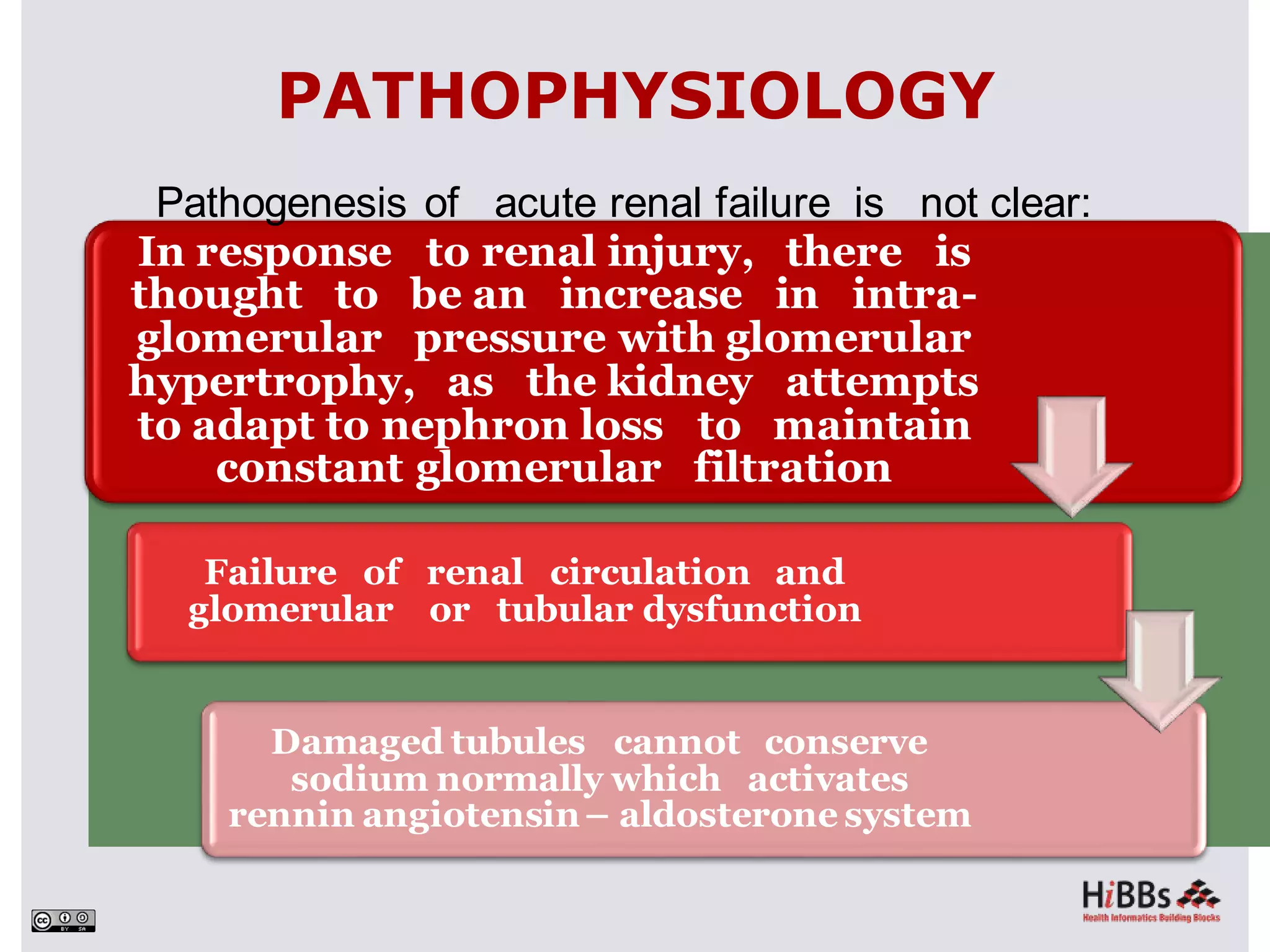 Acute renal failure and chronic renal failure | PDF