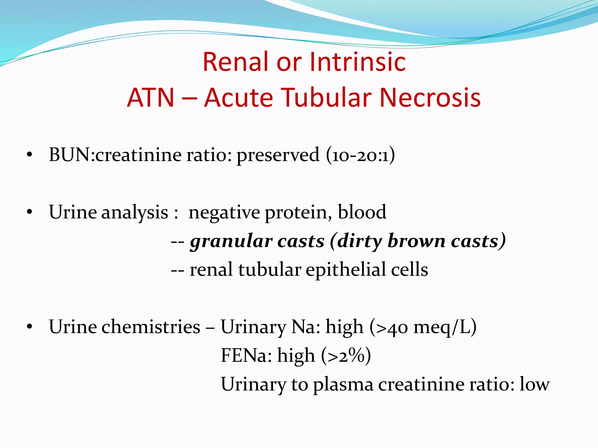 Acute renal failure (arf) | PPTX