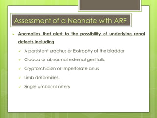 Acute Renal Failure in Neonates | PPTX