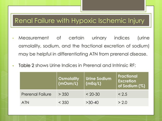 Acute Renal Failure in Neonates | PPTX