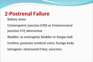 acute renal failure lecture 1 Critical care nursing_5.ppt