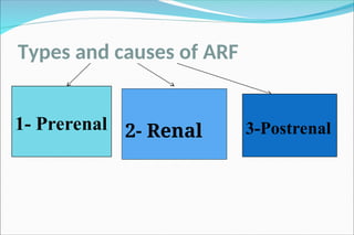 acute renal failure lecture 1 Critical care nursing_5.ppt