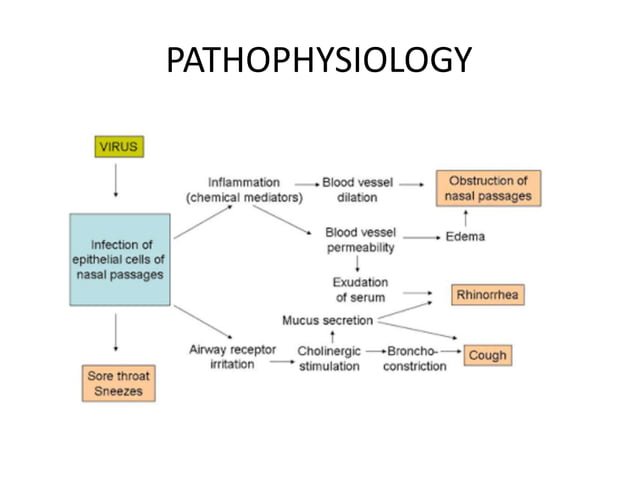 Approach to a child with acute respiratory infections | PPT