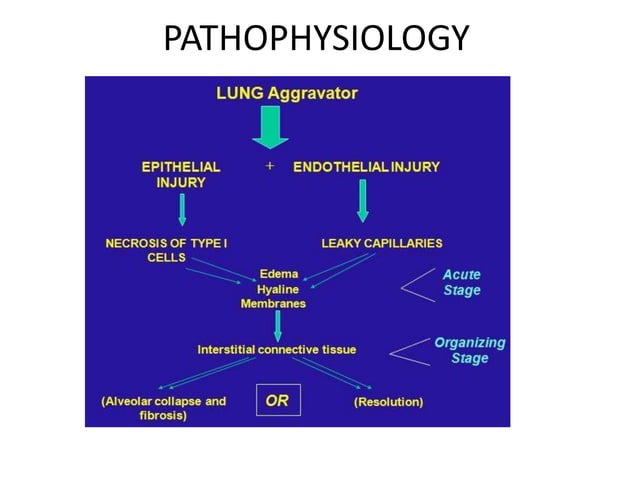 Acute respiratory distress syndrome(ards) | PPT