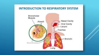 Acute Respiratory Distress Syndrome | PPT