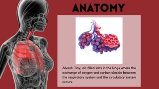 Acute Respiratory Failure - Medical Surgical Nursing.pdf