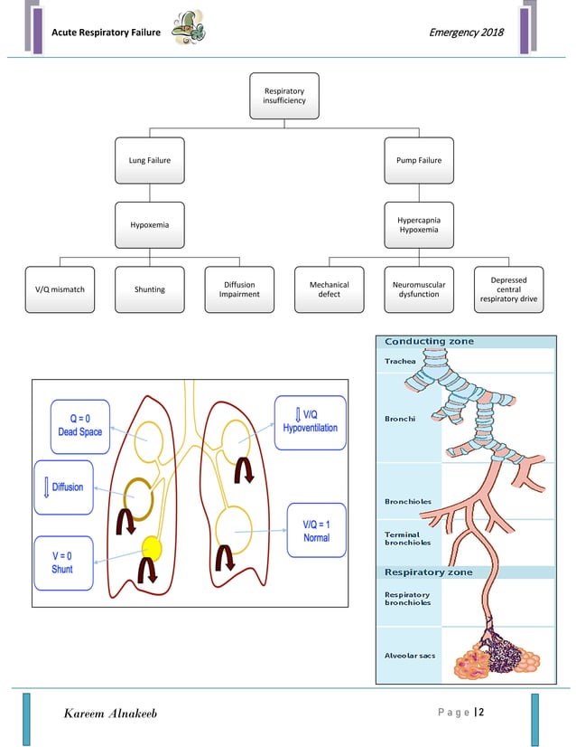 Acute Respiratory Failure; Pediatrics 2018 | PDF