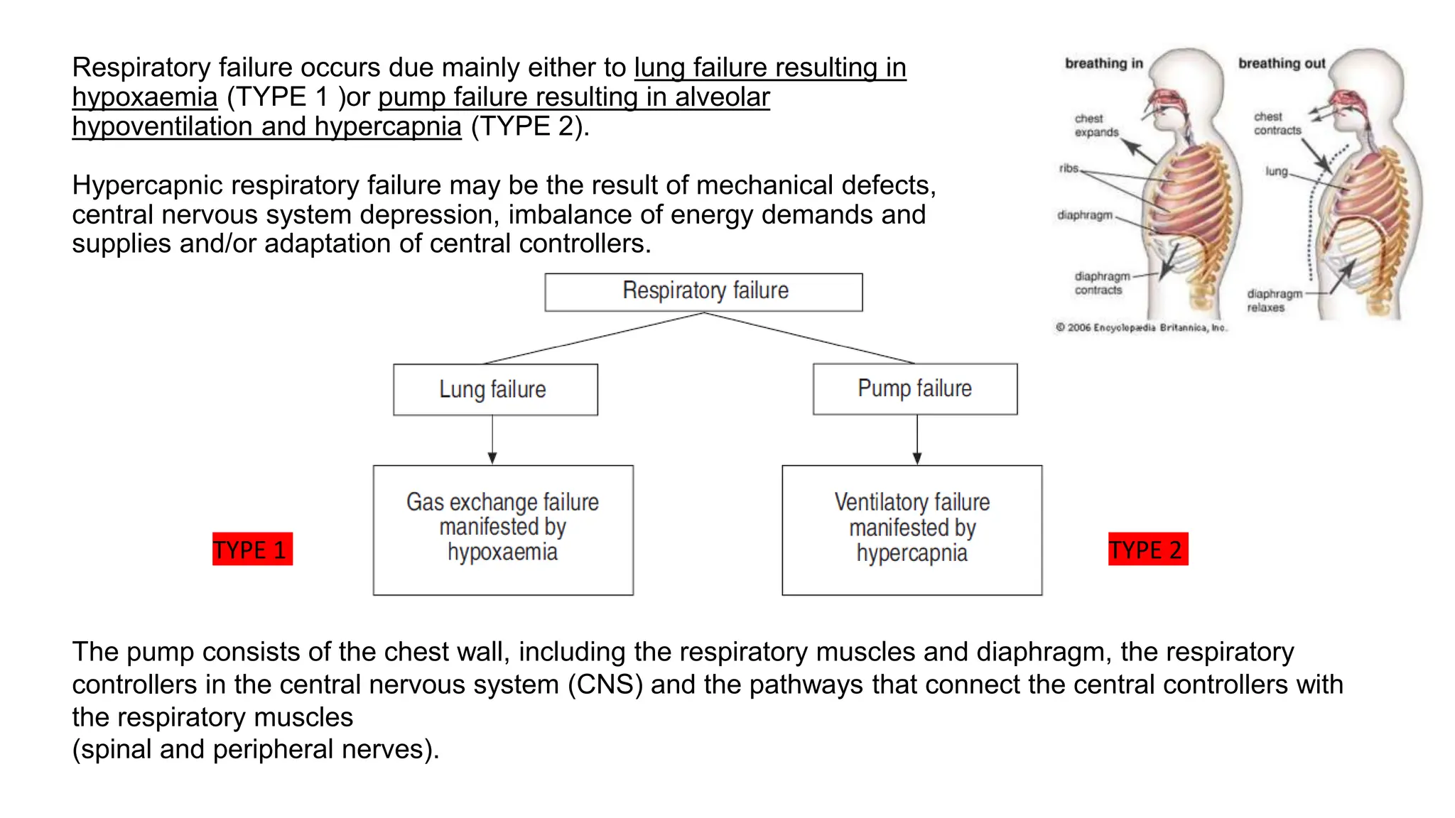 Acute Respiratory Failure PPT.pptx