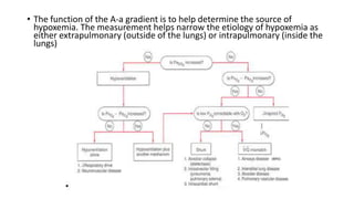 Acute Respiratory Failure PPT.pptx