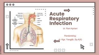 Acute Respiratory Infection Acute Respiratory Infection | PPT