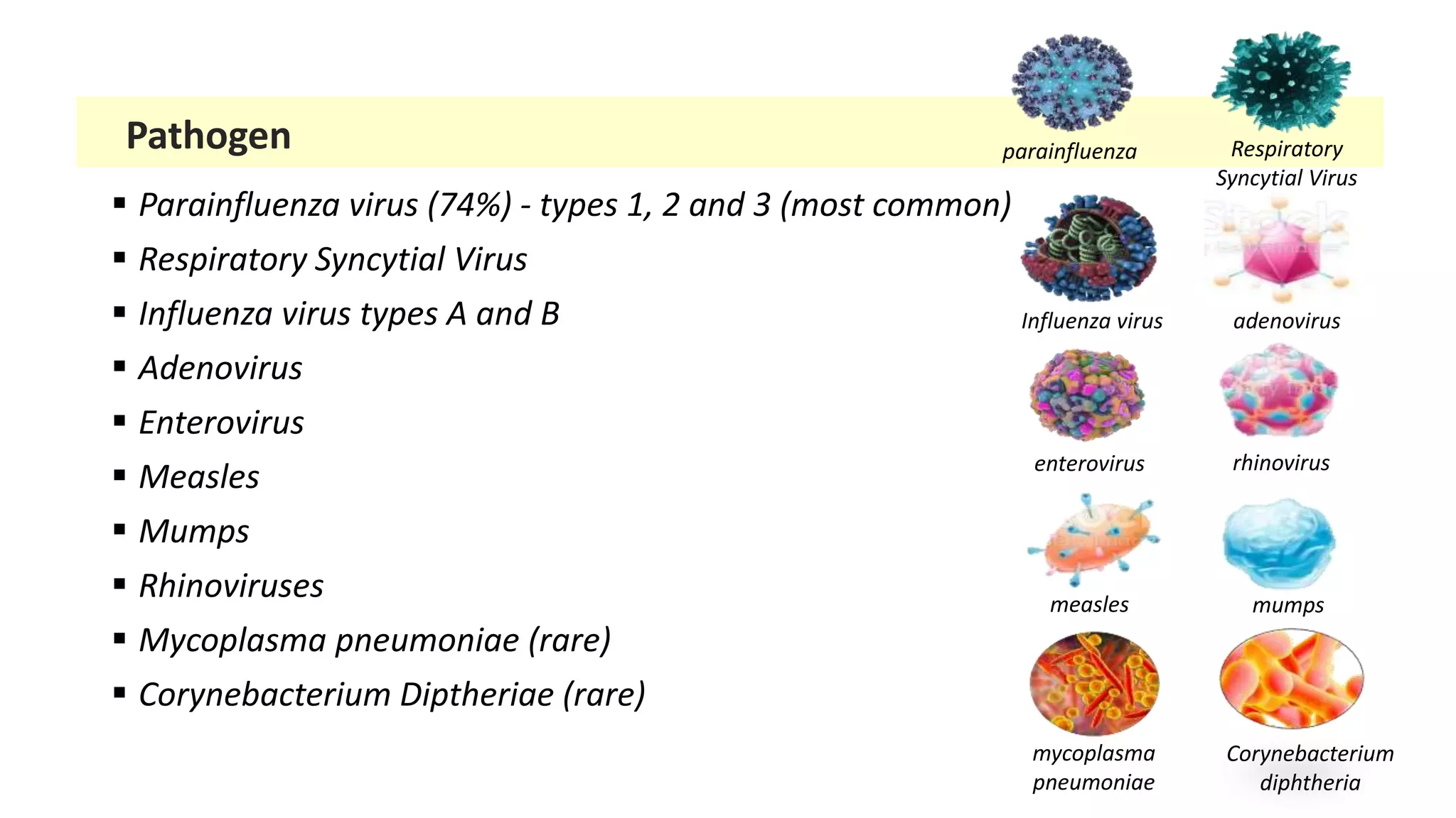 Acute respiratory infection | PPT