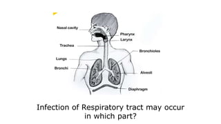 Acute Respiratory Infections.pptx