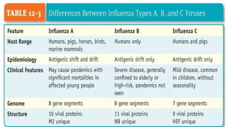 Acute respiratory infections (ARI) in children 2024-25.pptx