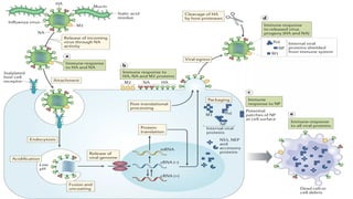 Acute respiratory infections (ARI) in children 2024-25.pptx