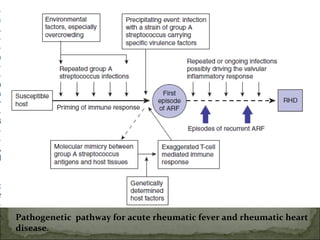 Acute rheumatic fever-definition,pathophysiology,clinical presentation ...