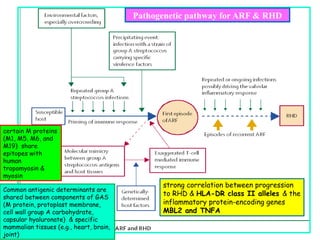 ACUTE RHEUMATIC FEVER (1).............pptx