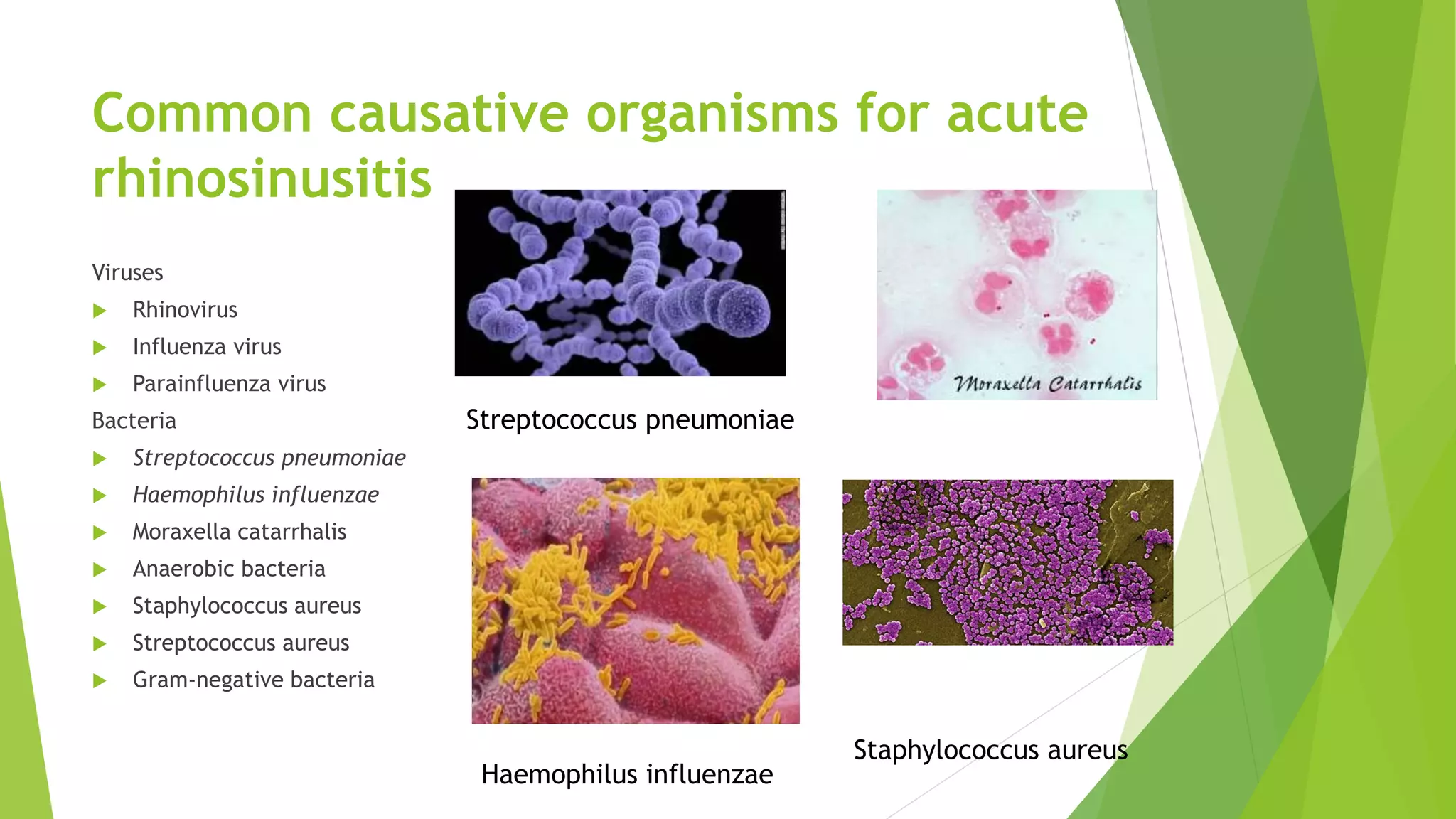Acute rhinosinusitis | PPTX