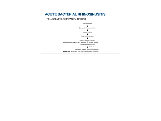 acute rhinosinusitis.pdf