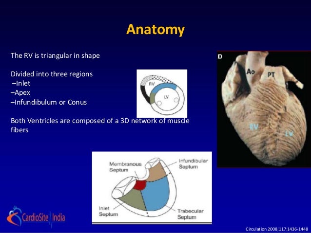 Acute rv failure physiology to management