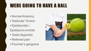 Acute scrotal pain | PPTX