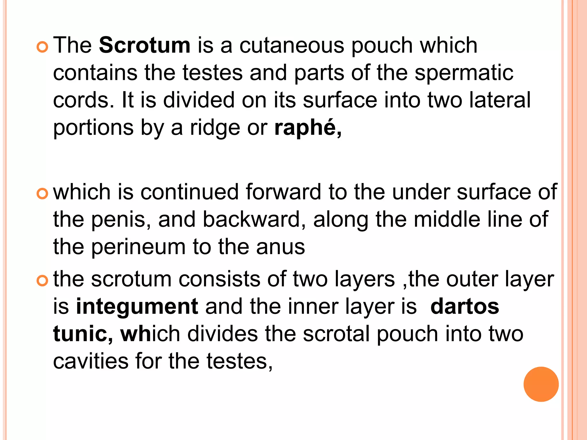 Acute scrotal swelling and pain in children1 | PPTX