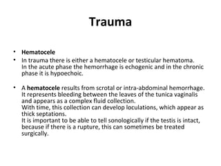 Acute scrotum | PPT