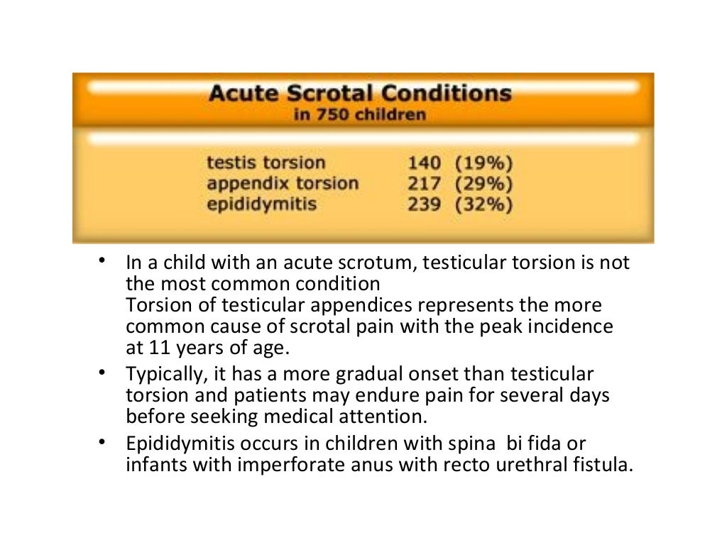 Acute Scrotum