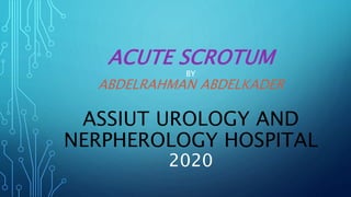 Acute scrotum | PPTX