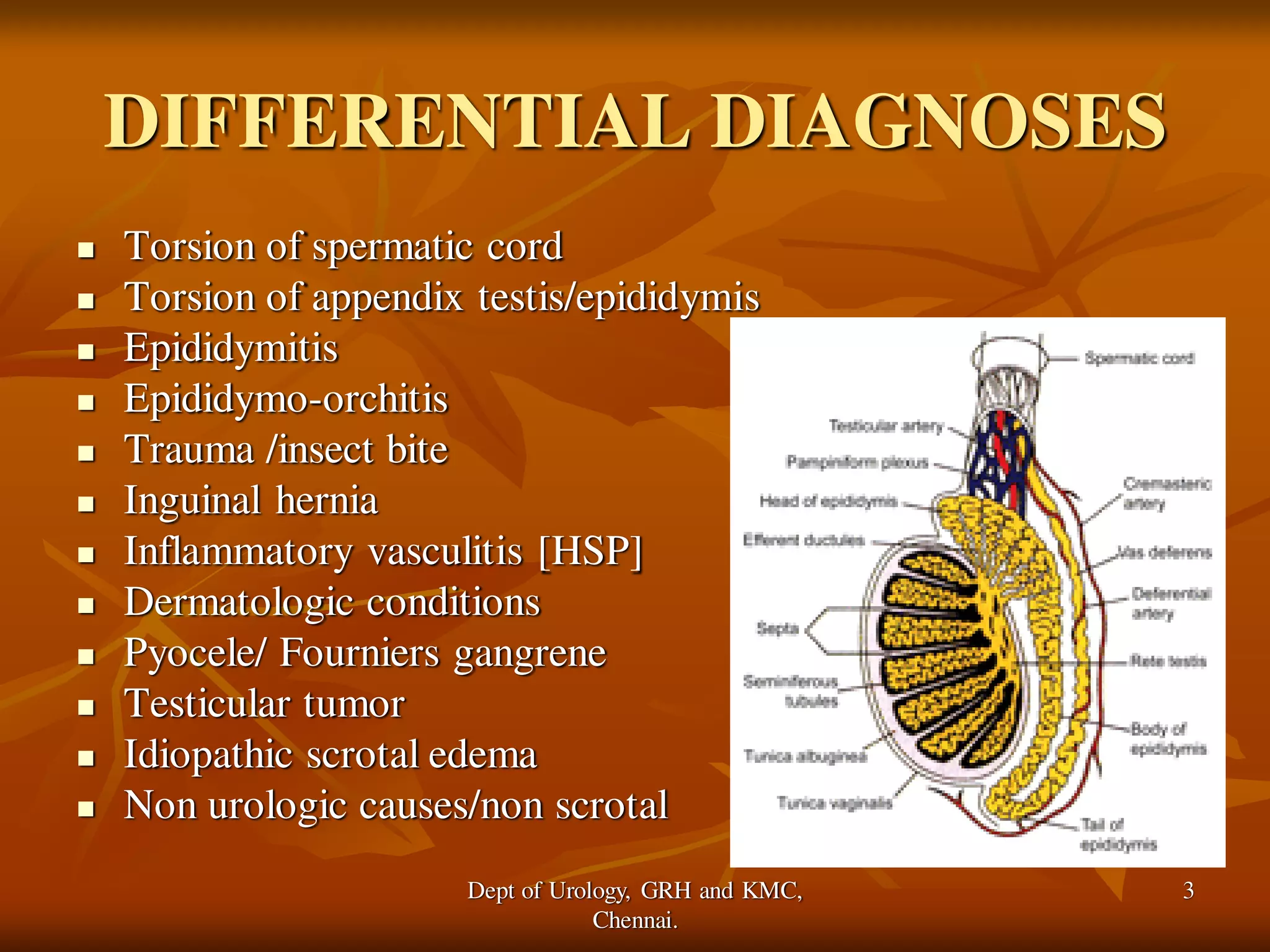 Acute scrotum | PDF