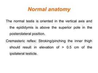 acute scrotum.pptx